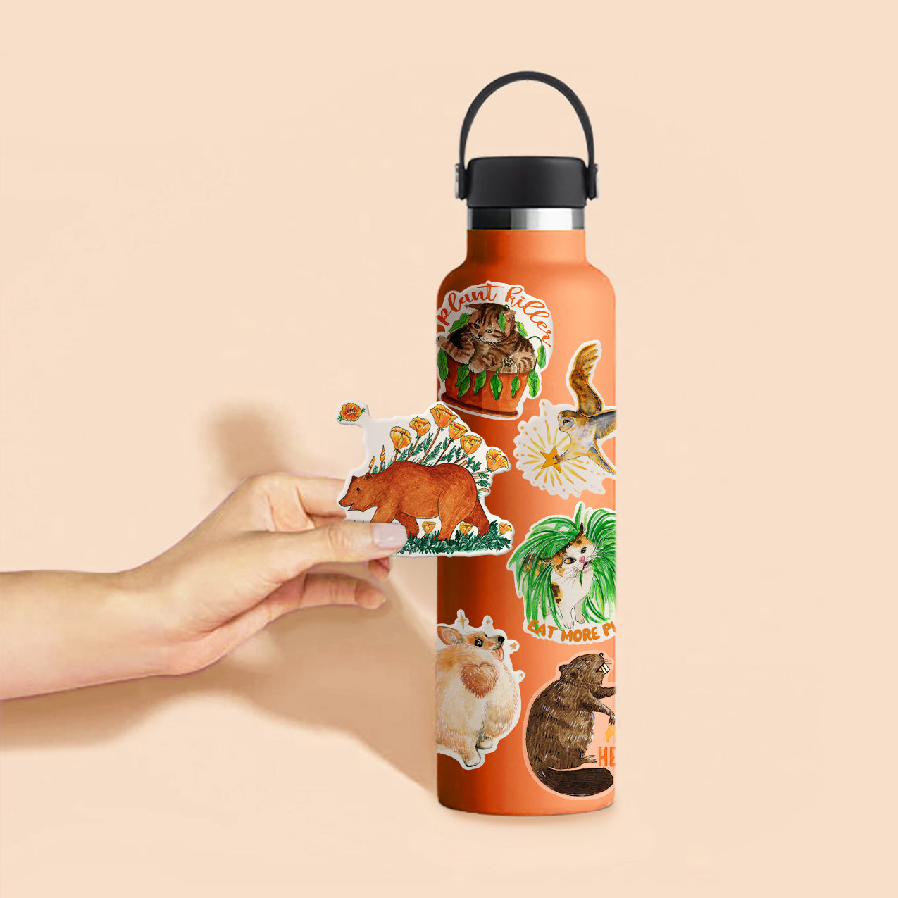 Stickers – Liyana Studio